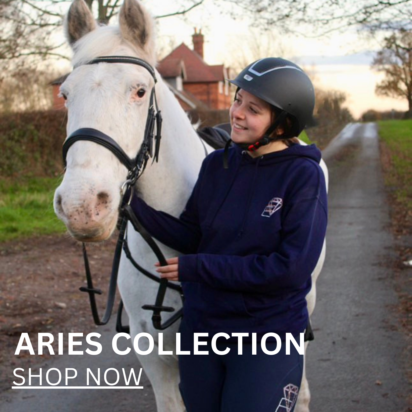 Aries Collection – Equilite Equestrian